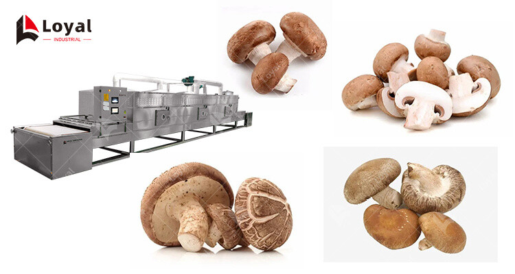 Automatic Tunnel Microwave Mushroom Drying Sterilizing Machine ...