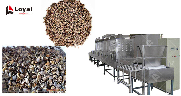 Tunnel Microwave Buckwheat Hull Drying Sterilization Machine - Shandong ...