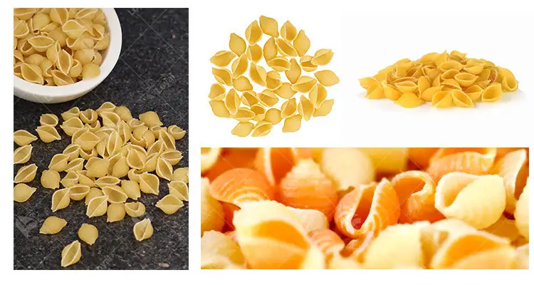 Conchiglie - Shandong Loyal Industrial Co.,Ltd.