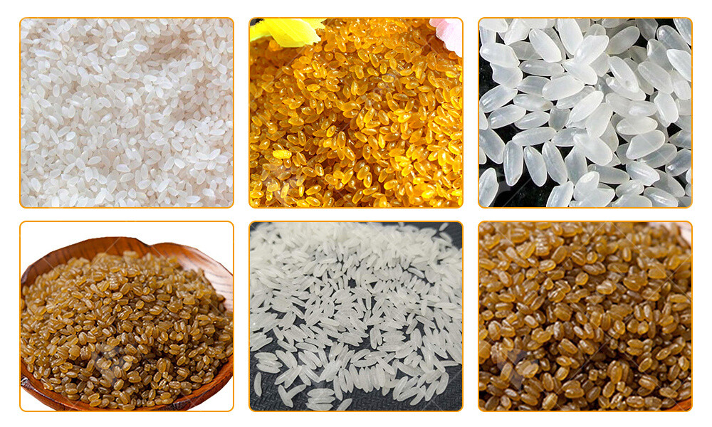 How To Set Fortified Rice Factory？ - Shandong Loyal Industrial Co.,Ltd.