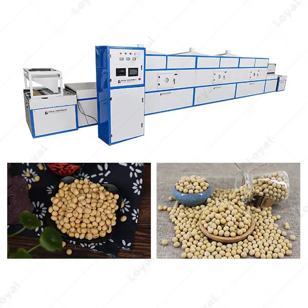 Industrial Microwave Soybeans Drying Technology - Shandong Loyal ...