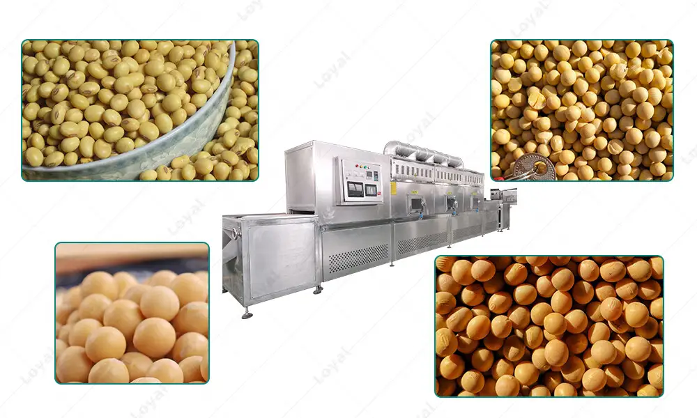 Industrial Microwave Soybeans Drying Technology - Shandong Loyal ...