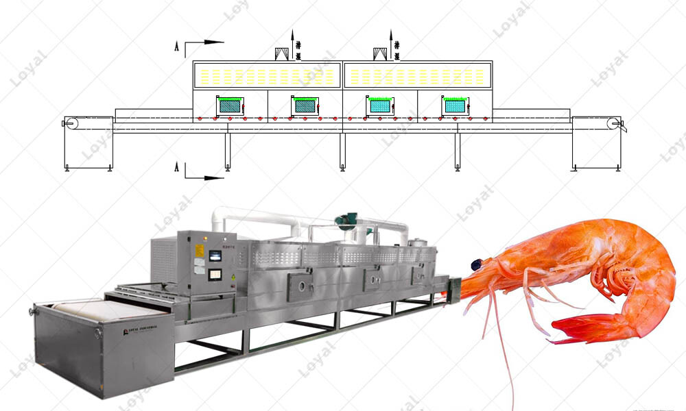 Industrial Microwave Prawn Drying Technology - Shandong Loyal ...