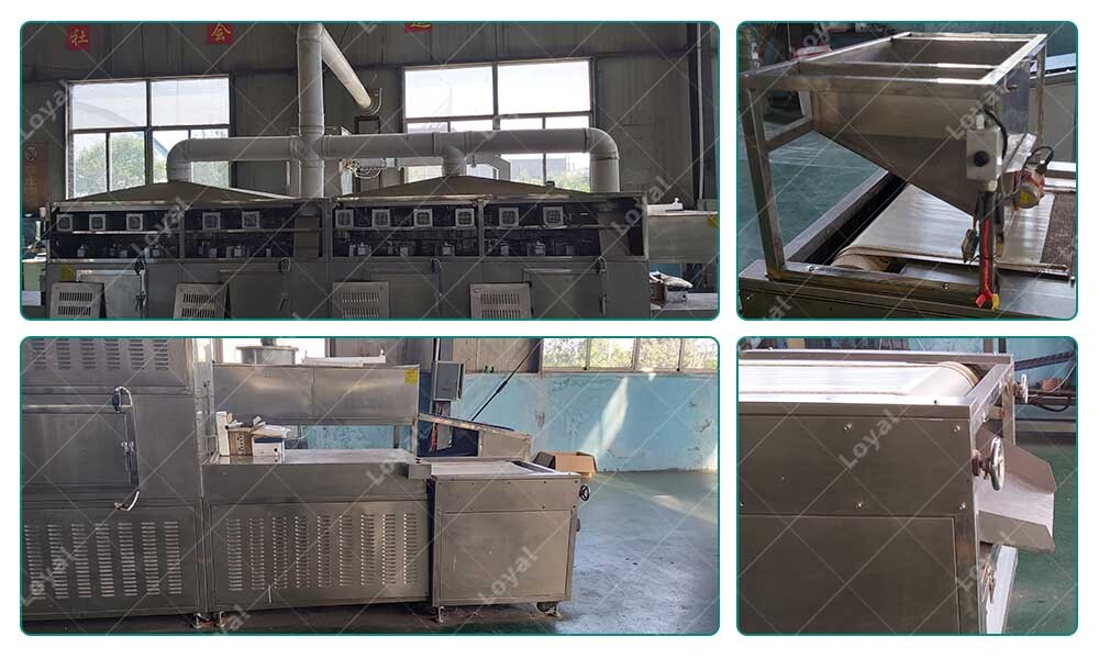 Industrial Microwave Chicken Defrosting Technology - Shandong Loyal ...