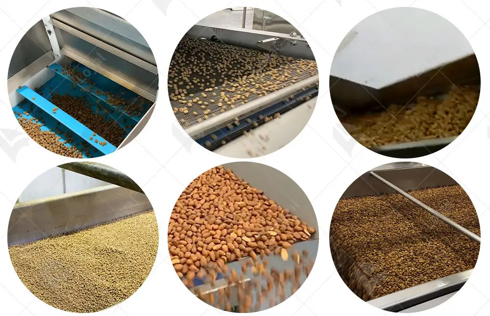 The Ultimate Dog Food Processing Line Guide to 2024 - Shandong Loyal ...