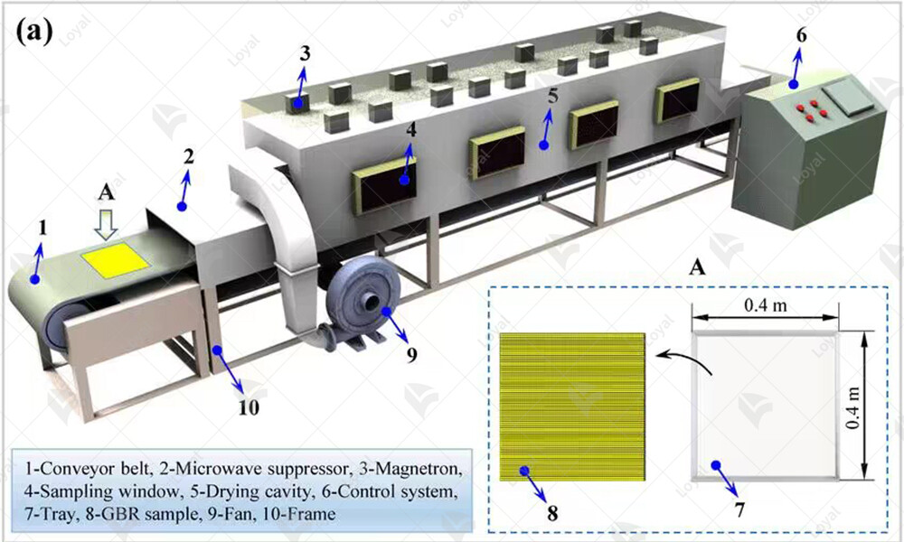 Everything you need to know about microwave drying machine In 2024 ...