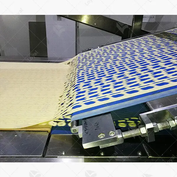 Everything you need to know about biscuit line In 2024 - Shandong Loyal ...