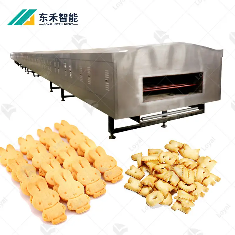 Everything you need to know about biscuit forming machine - Shandong ...