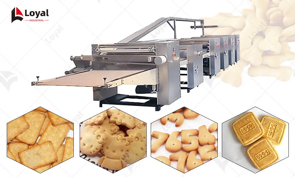 Everything You Need to Know About Fully Automatic Biscuit Making ...