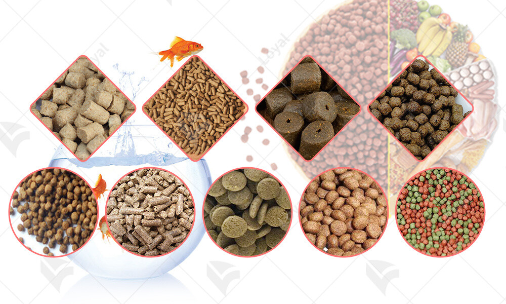 How To Choose The Bestfish food extruder machine: 2024 Buyer’s Guide ...